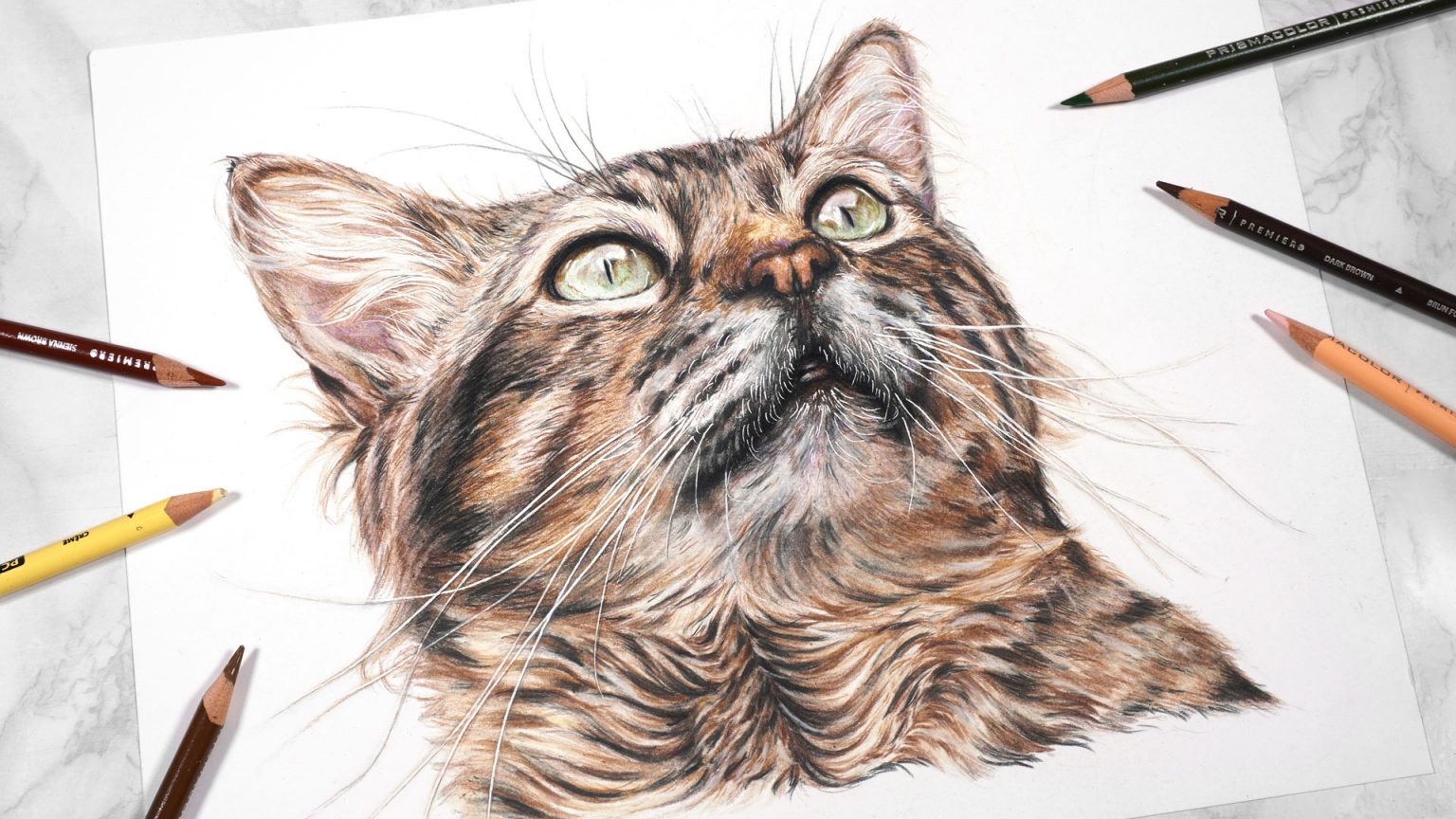 Coloured Pencil Academy by Kirsty Partridge – Coloured Pencil Academy ...